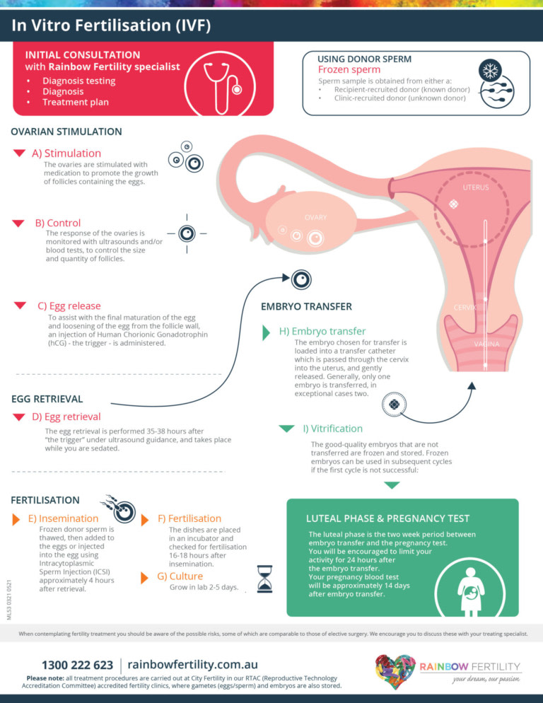 IVF - In Vitro Fertilisation | Rainbow Fertility