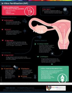 ML53 Rainbow Fertility IVF In Vitro Fertilisation Infographic | Rainbow ...