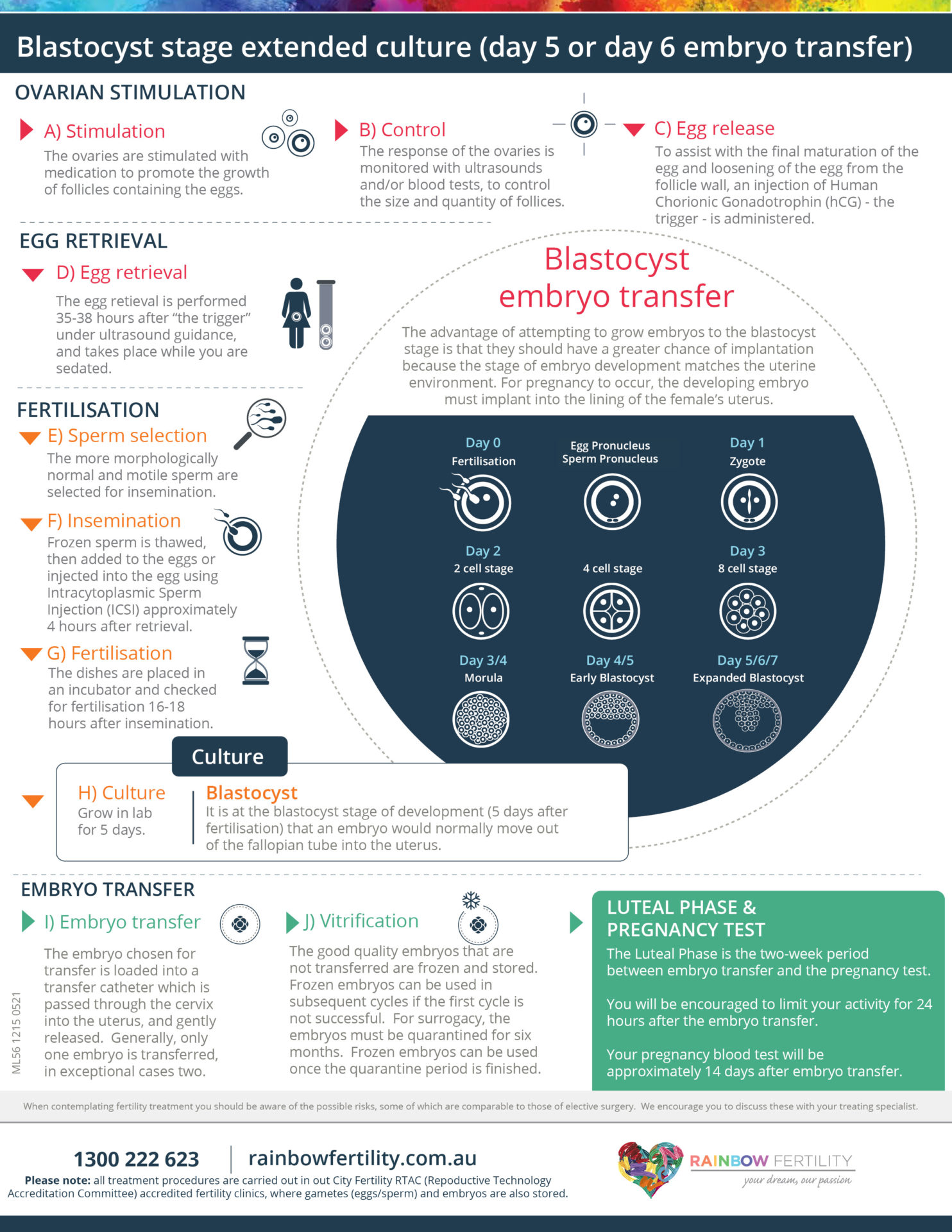 ML56 Rainbow Fertility IVF Blastocyst Culture Infographic | Rainbow ...